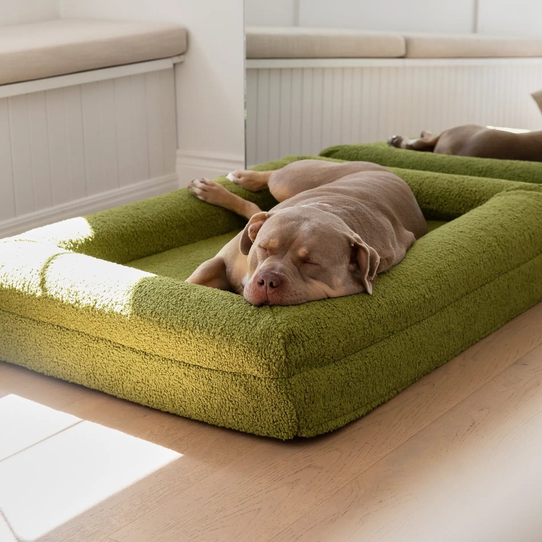 Barney Bed